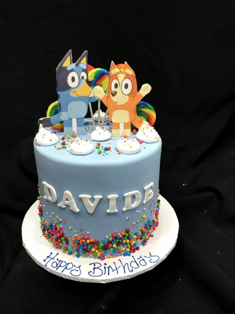 Bluey and Bingo Lollipops – Heidelberg Cakes